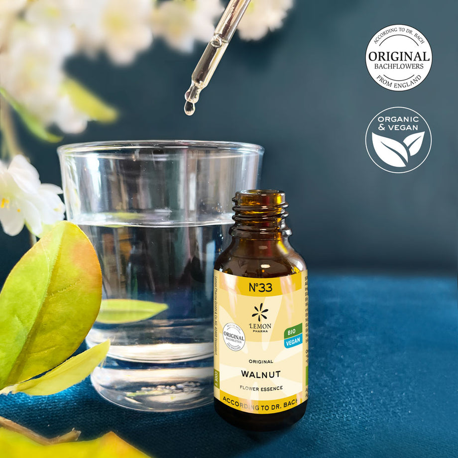 Walnut Flower Essence Affirmation | Best Flower Site